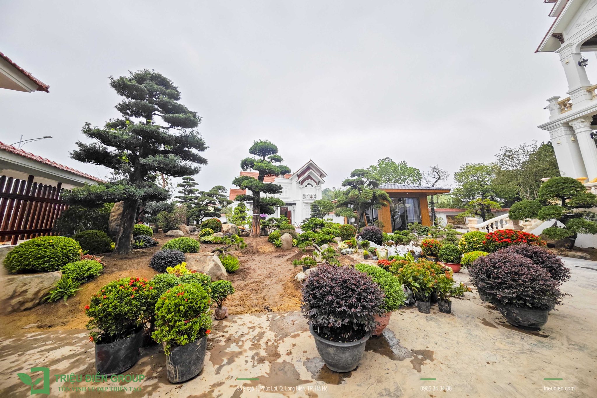 Thi công sân vườn hồ cá koi tại Hà Nam – Tạo không gian sống đẳng cấp ...